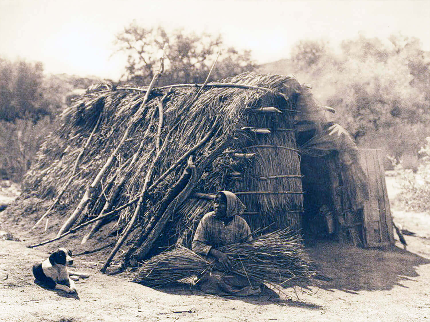 Basilica San Diego de Alcalá – California Missions Native History